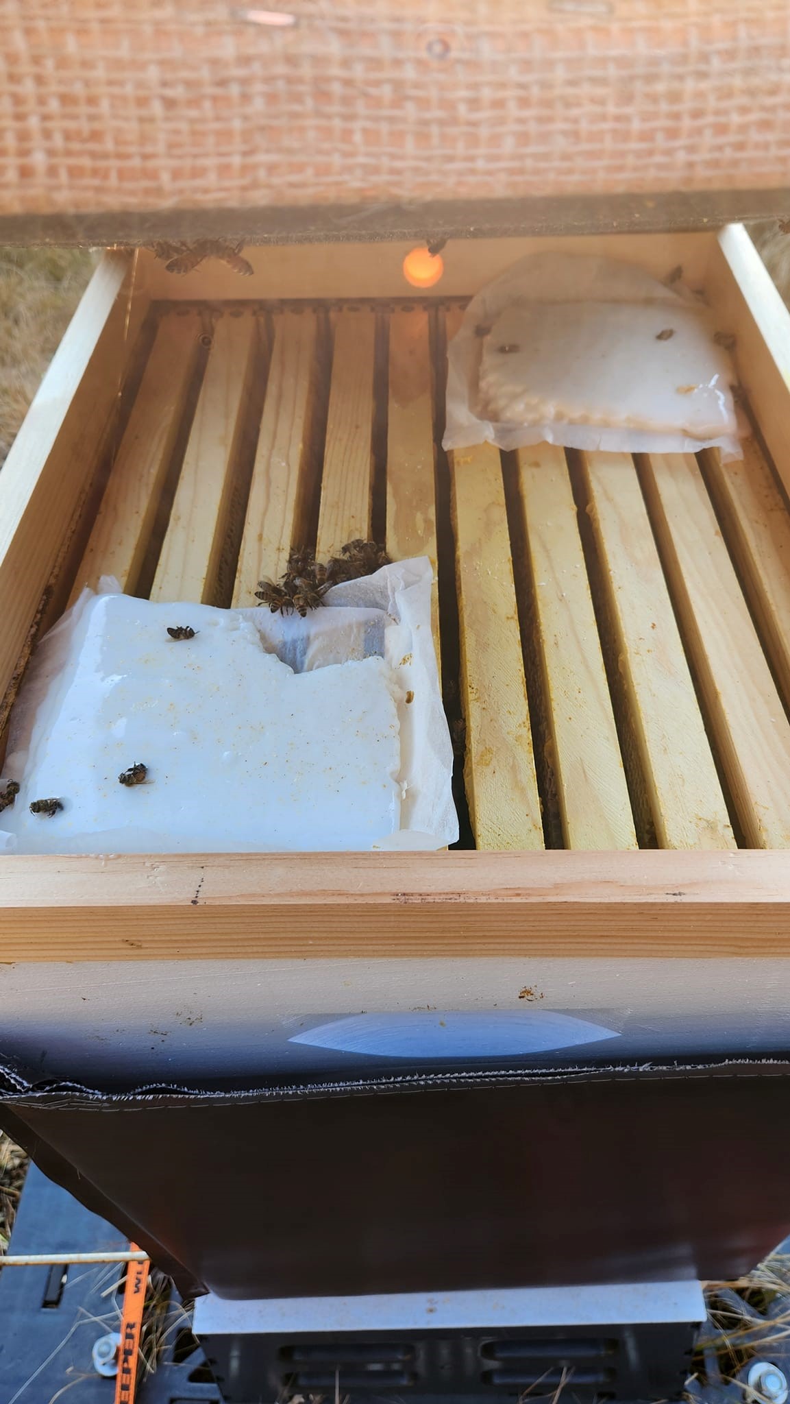 Martha's Vineyard Beekeeping | Winnetu Bee Journal - Winnetu Oceanside ...